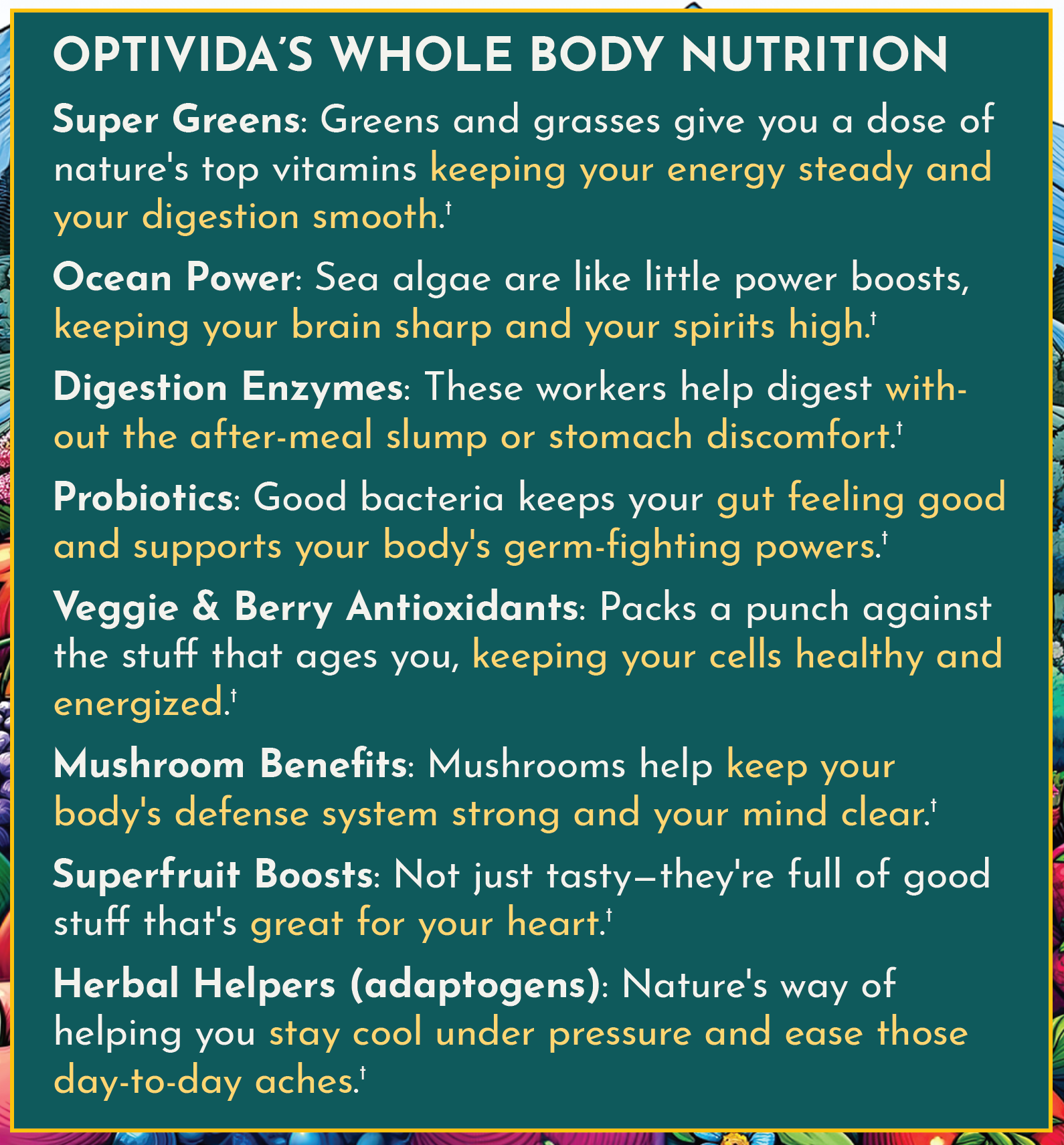 Complete Essentials Family Canister (60 servings) – My Optivida